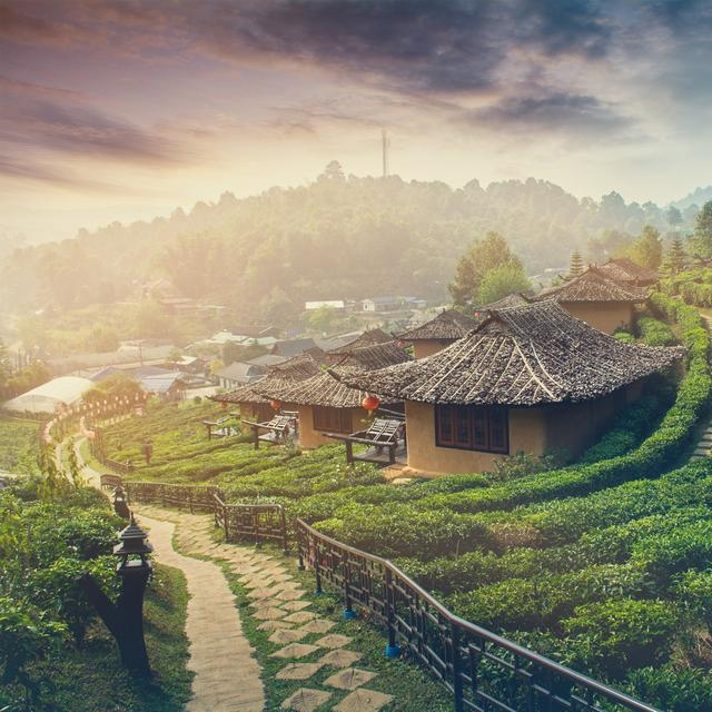 Top 7 Serene Winter Yoga Destinations in Asia | Sunheron