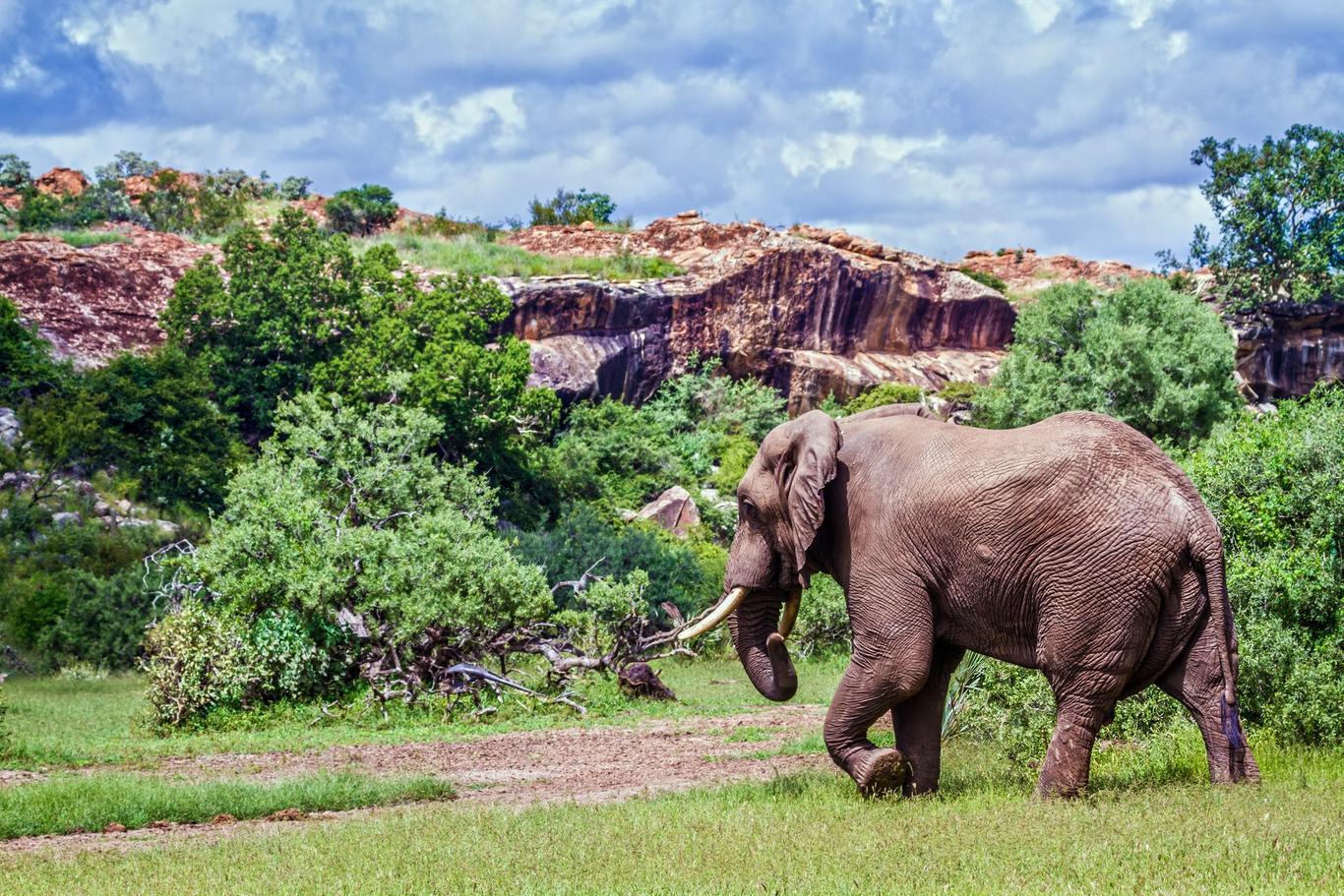 Mapungubwe weather and climate | Sunheron