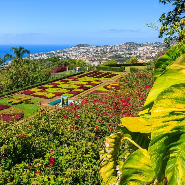 Top 11 Panoramic City Views to Experience in August | Sunheron