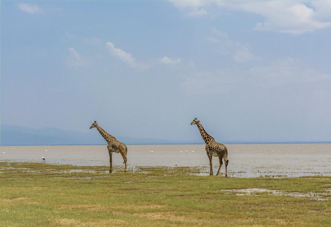 Manyara weather and climate | Sunheron