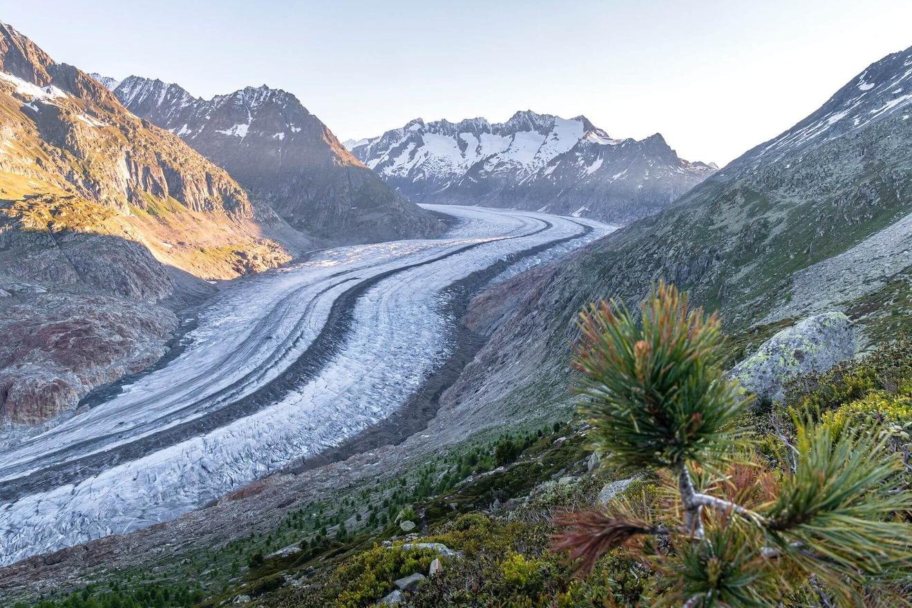 Exploring the Aletsch Arena | Sunheron