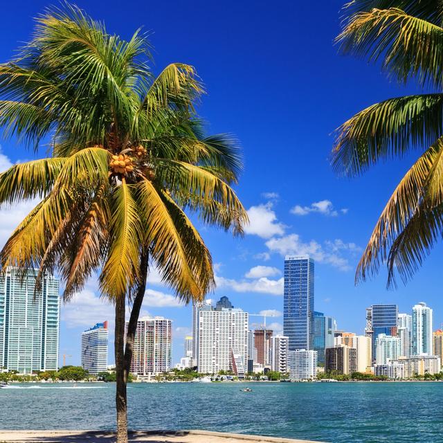 Miami Beach weather and climate | Sunheron