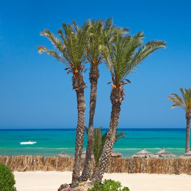 Top 7 Budget-Friendly Destinations for Exploring Vast Desert Landscapes ...