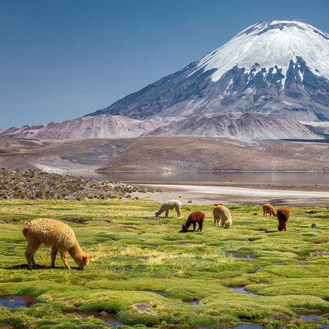 Top 9 Destinations for Exploring Vast Desert Landscapes on a Budget ...
