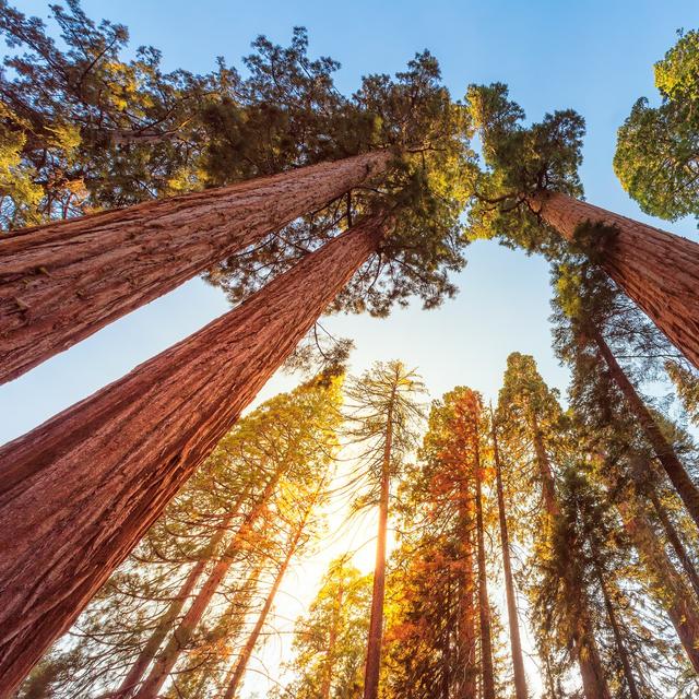 Top 9 Destinations for Panoramic Vistas in North America | Sunheron