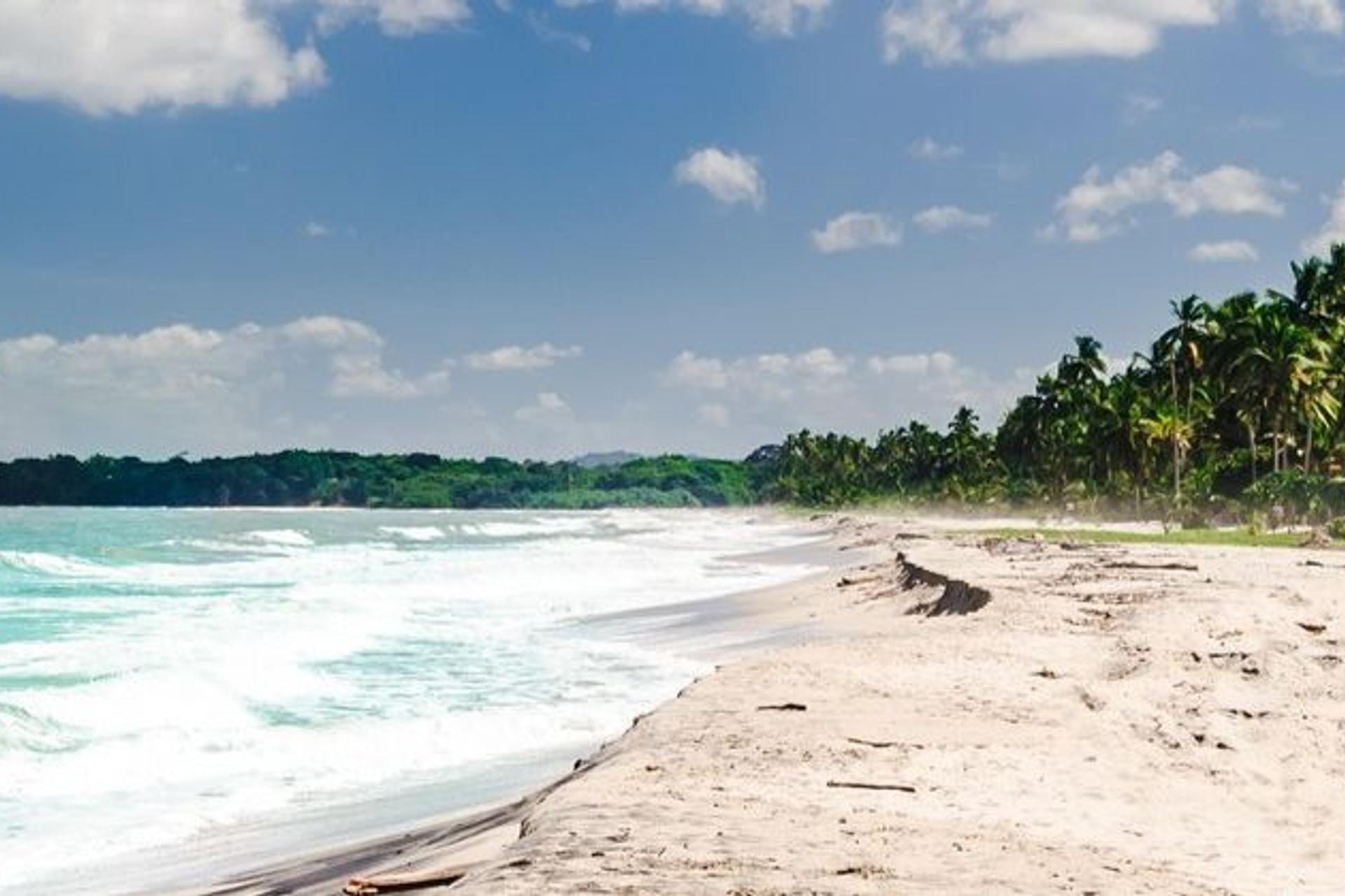 Palomino weather and climate | Sunheron